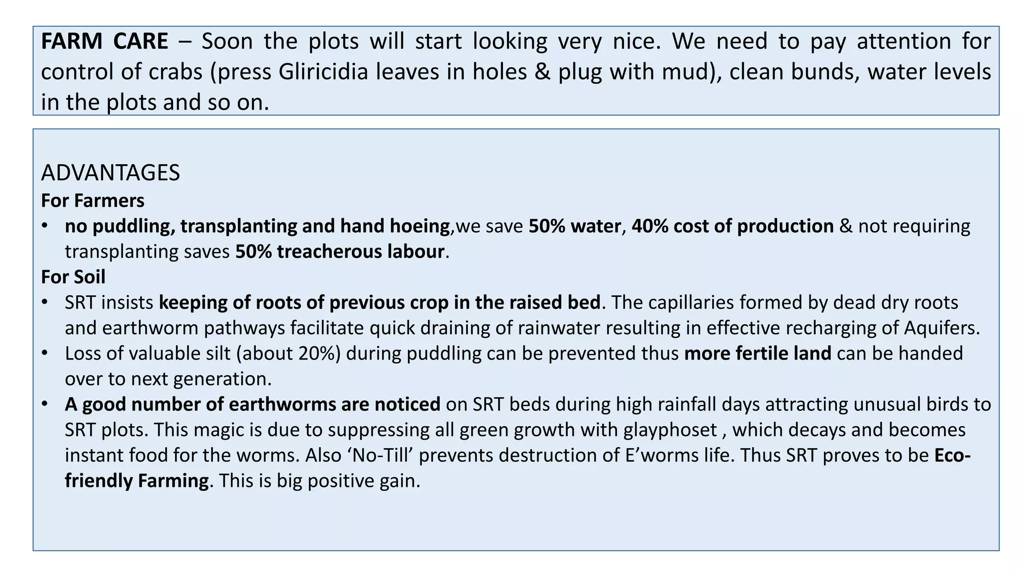 Srt (saguna rice technolgy) | PPTX