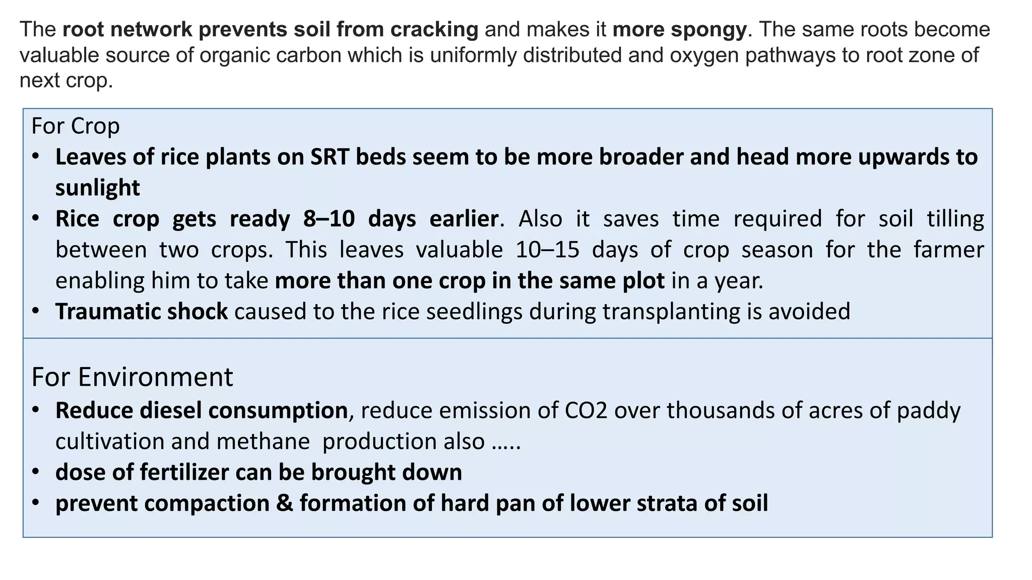 Srt (saguna rice technolgy) | PPTX