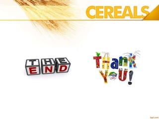 SRT T5 BAB 4 (4.6) HIDANGAN BERASASKAN BIJIRIN DAN HASIL BIJIRIN BAGI ...