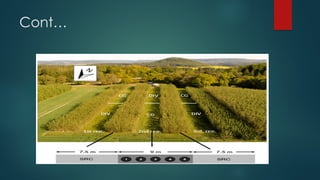 SRUCTURAL CLASSIFICAION OF AGROFORESTRY SYSTEM.pptx