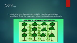 SRUCTURAL CLASSIFICAION OF AGROFORESTRY SYSTEM.pptx