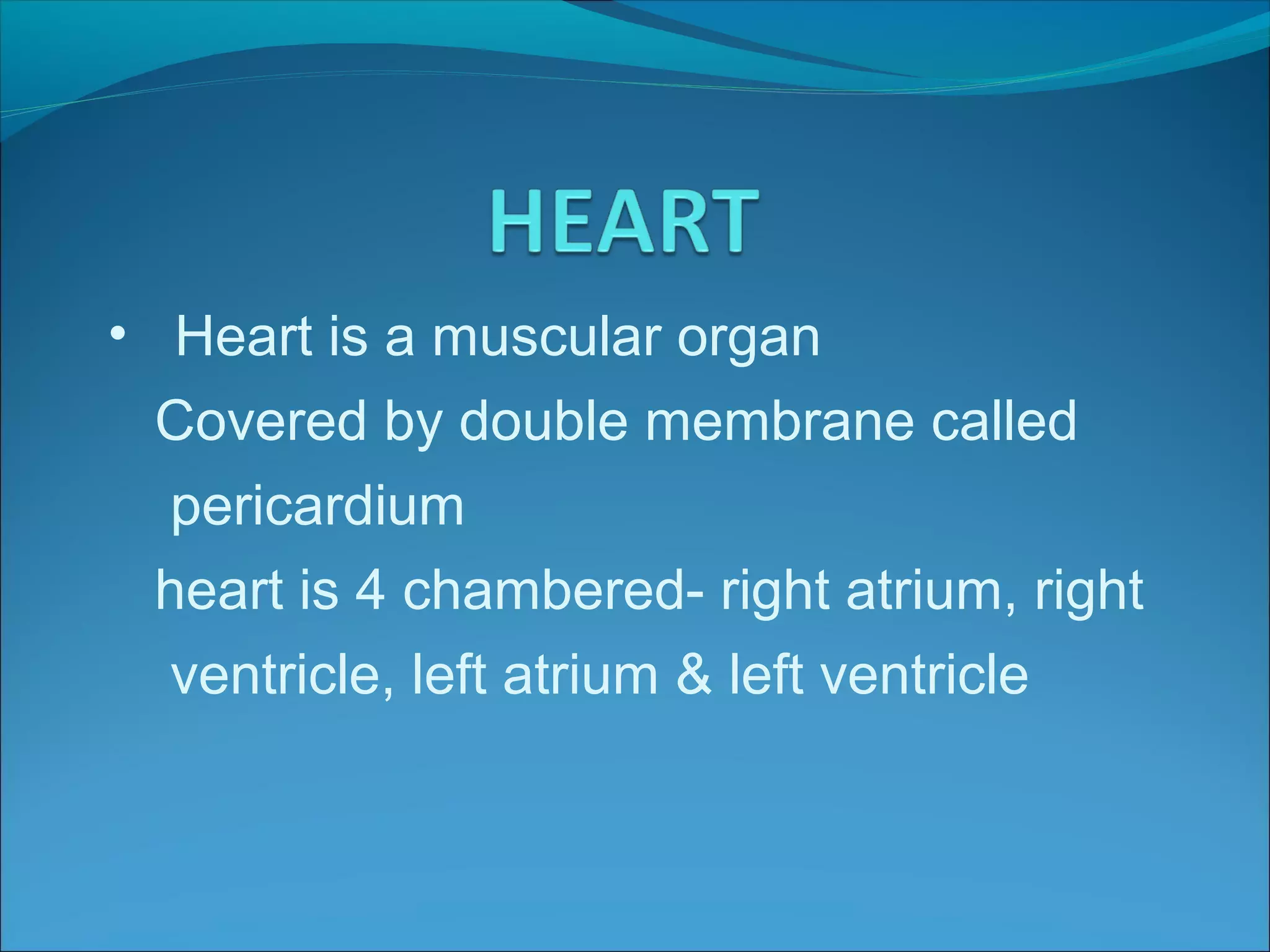 Sructure of heart | PPT