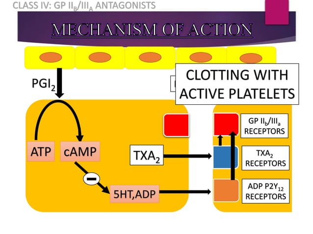 ANTIPLATELET DRUGS FROM PHARMACOLOGY.pptx