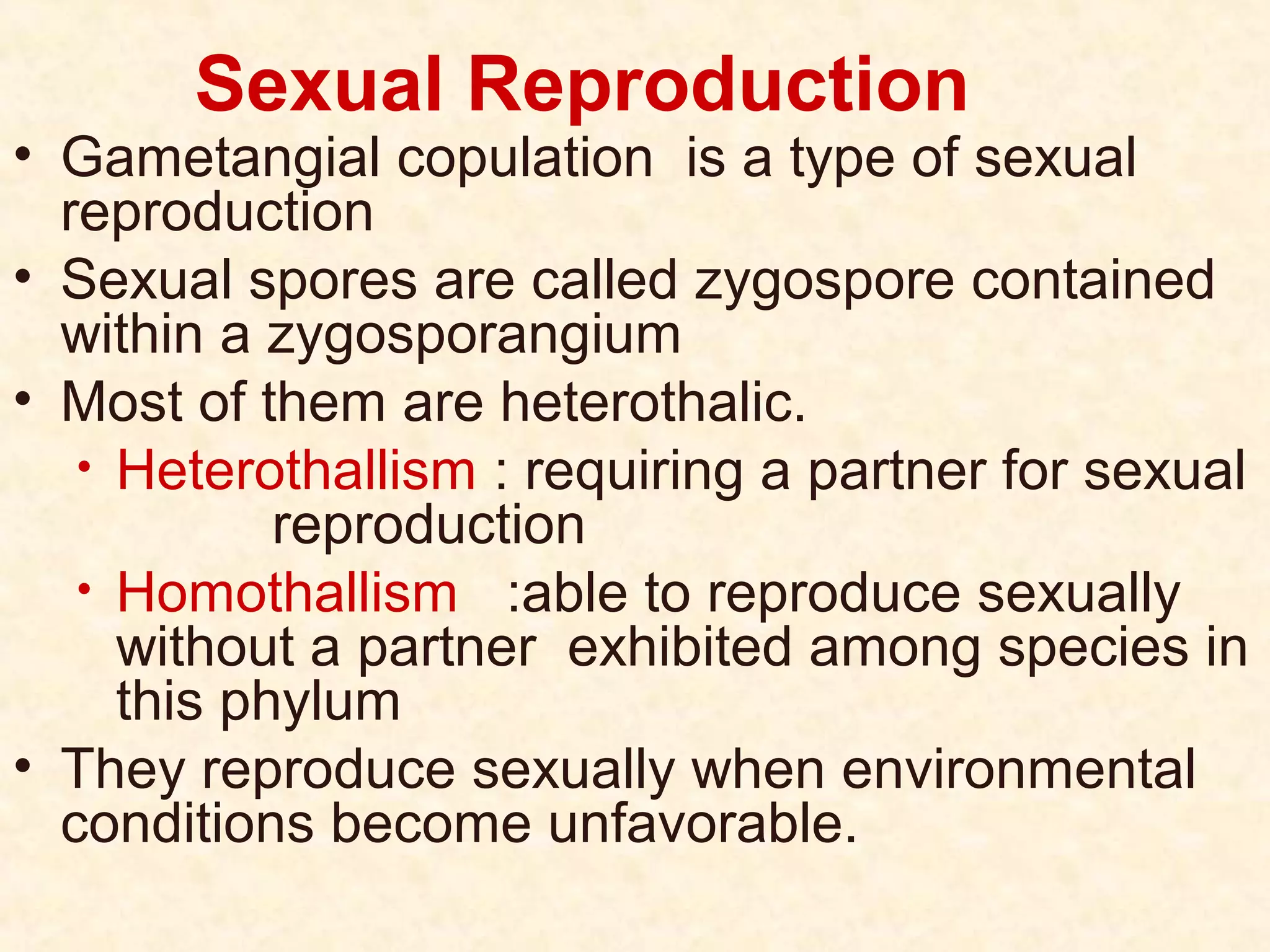 Zygomycotina | PPT