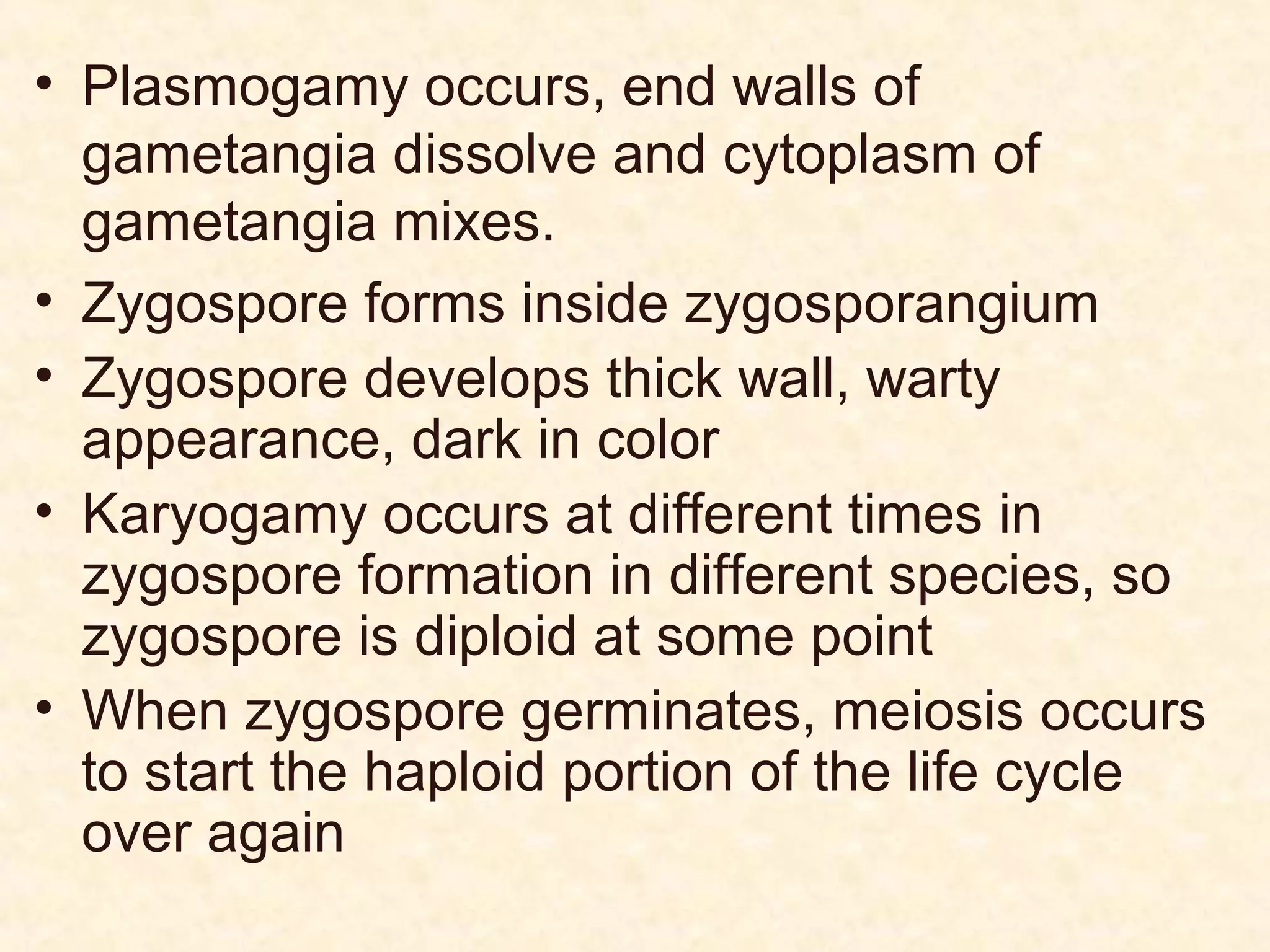 Zygomycotina | PPT
