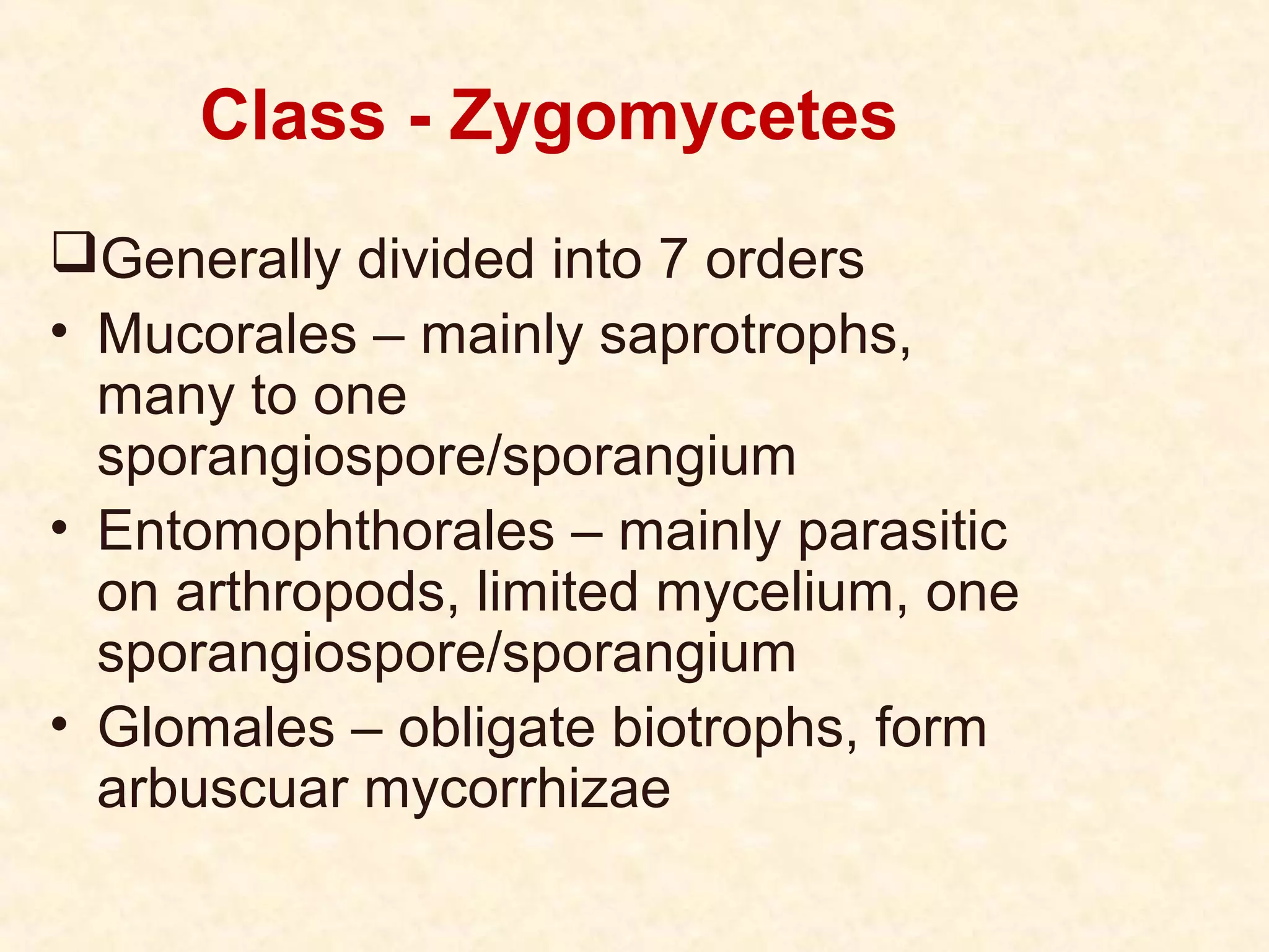 Zygomycotina | PPT