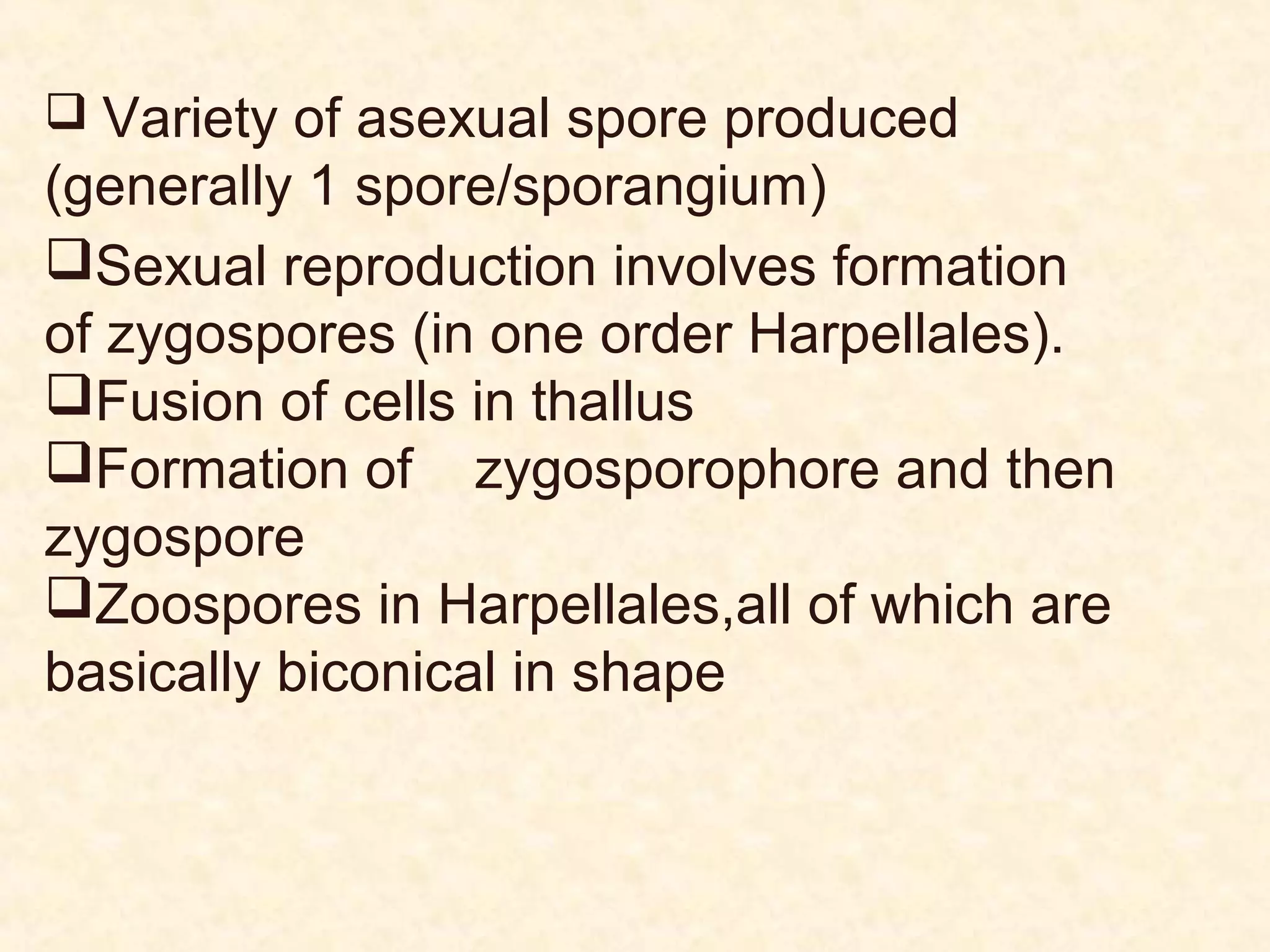 Zygomycotina | PPT