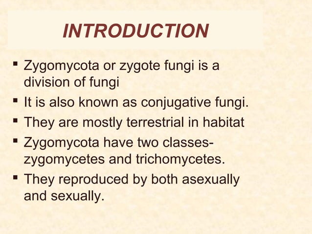 Zygomycotina | PPT | Gardening | Home & Garden