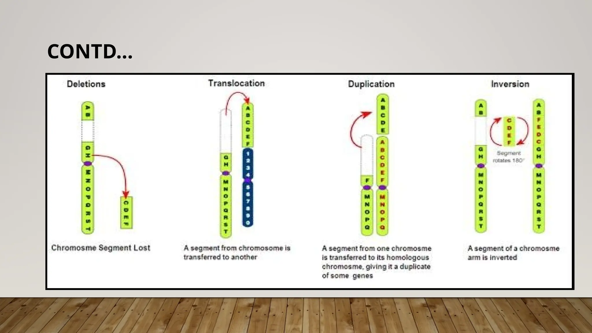About the Mutation and its types in plants | PPTX | Gardening | Home ...