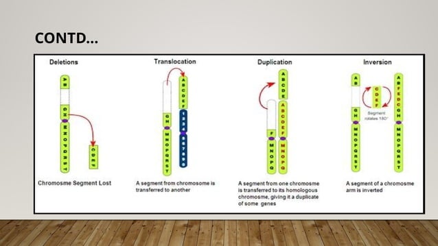 About the Mutation and its types in plants | PPTX | Gardening | Home ...