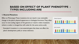 About the Mutation and its types in plants | PPTX | Gardening | Home ...