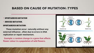 About the Mutation and its types in plants | PPTX | Gardening | Home ...