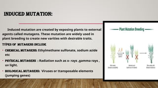 About the Mutation and its types in plants | PPTX | Gardening | Home ...