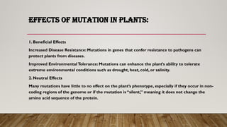 About the Mutation and its types in plants | PPTX | Gardening | Home ...