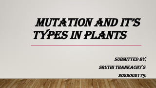 Mutation and its types in planys PBG.pptx