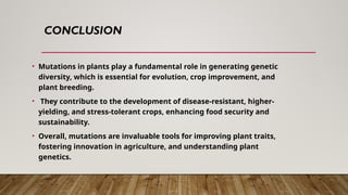 Mutation and its types in planys PBG.pptx