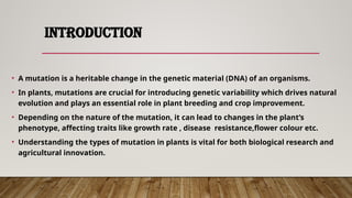 Mutation and its types in planys PBG.pptx