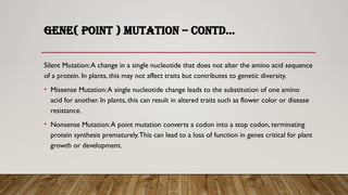 Mutation and its types in planys PBG.pptx
