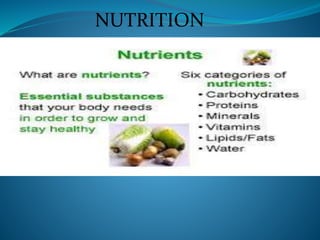 power point presentation of nutrients | PPT