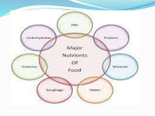 power point presentation of nutrients | PPT