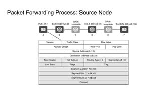 SRv6 note from book and some drawing for different srv6 packet format | PPT