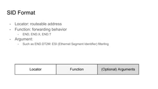 SRv6 note from book and some drawing for different srv6 packet format | PPT