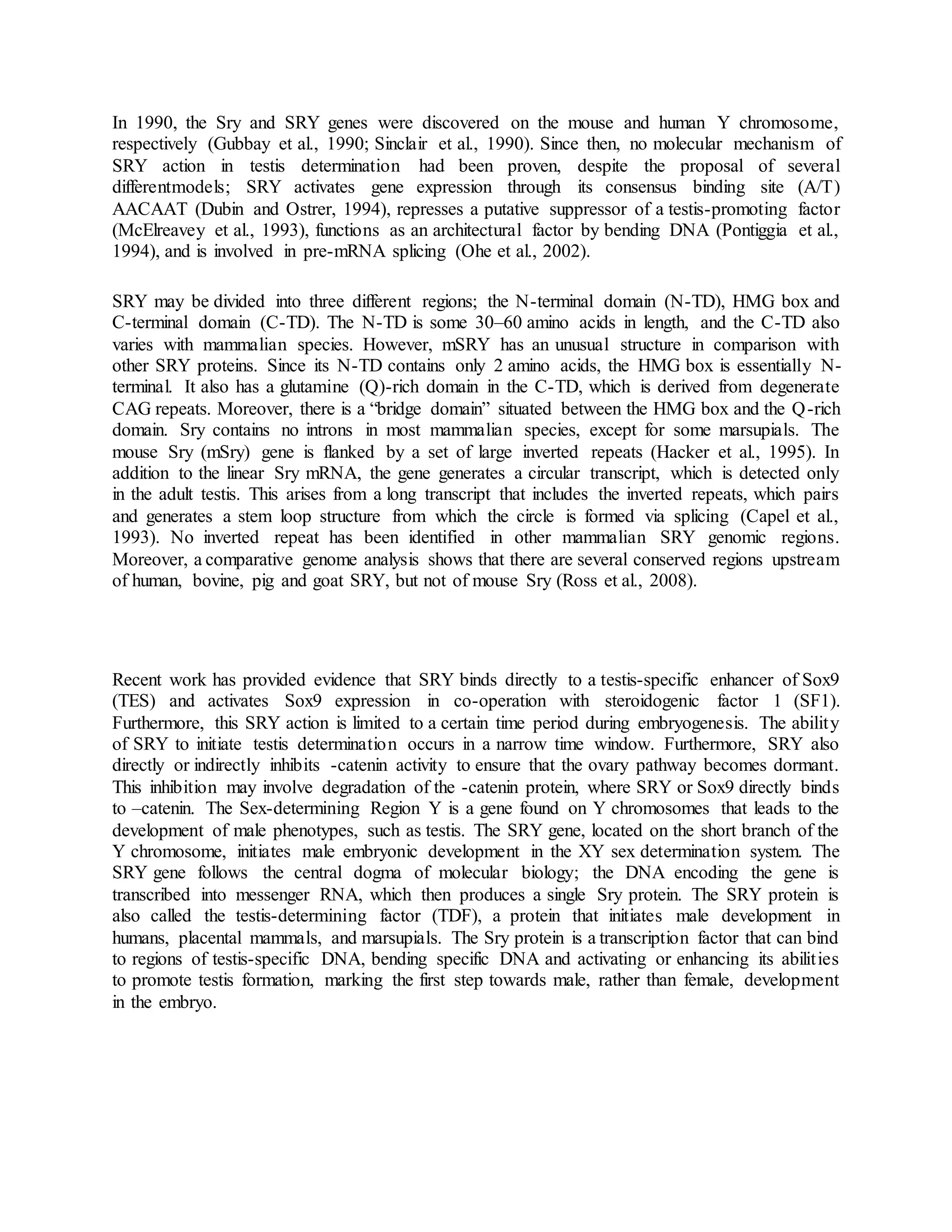 THE SRY gene and protein | PDF