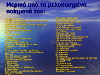 ΕΛΥΤΗΣ_ELYTIS | PPT