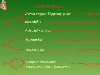 CARDIOVASCULAR DRUGS | PPT