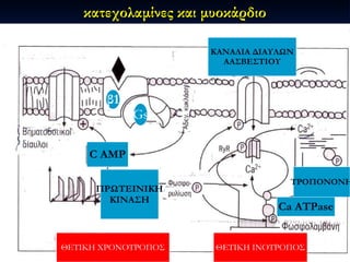CARDIO DRUGS | PPT
