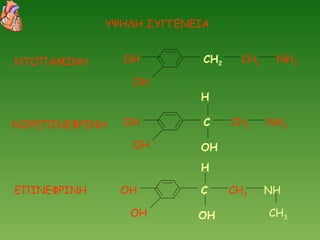 CATECHOLAMINES GREEK | PPT
