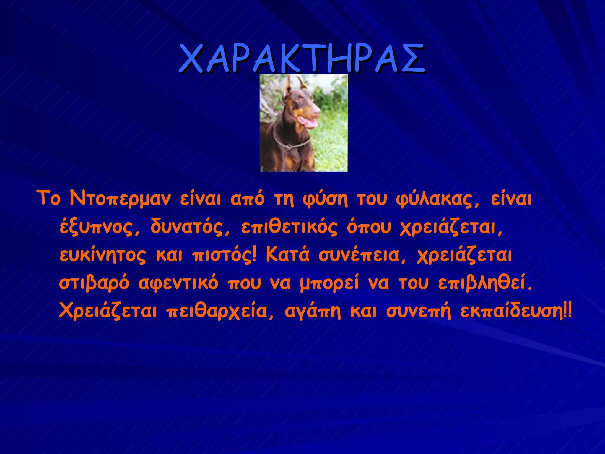 Doberman | PPT