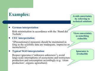משמעות נורמטיבית של עיקרון ההיזהרות | PPT