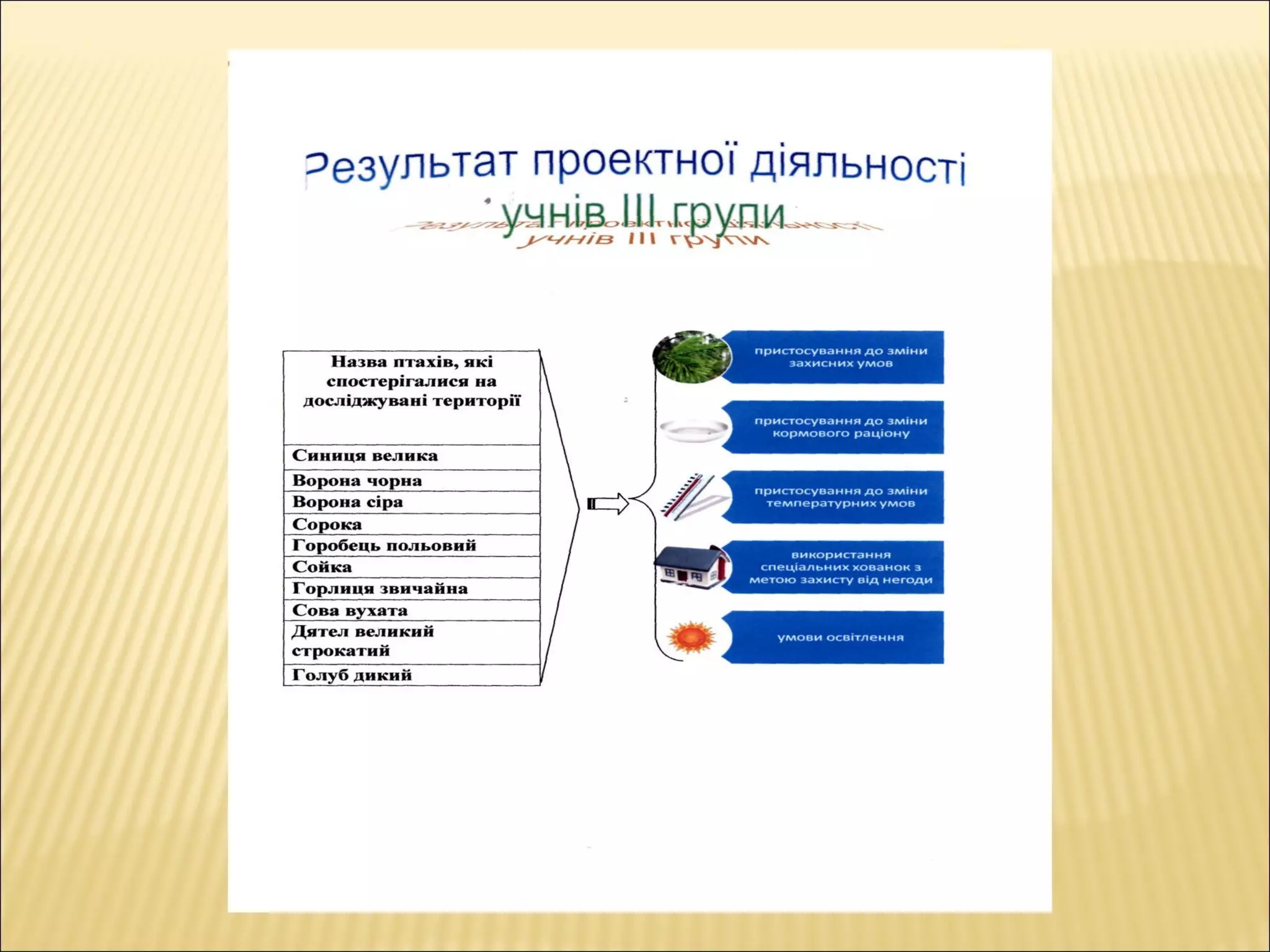 Electronic diary | PPT