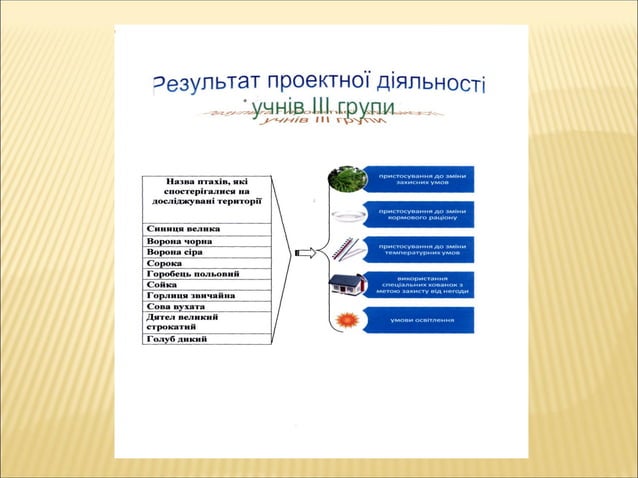 Electronic diary | PPT
