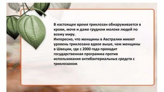 грязная сторона мыла чем опасен триклозан | PPT