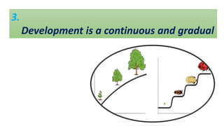 PRINCIPLES OF DEVELOPMENT: An Exclusive Presentation | PPT