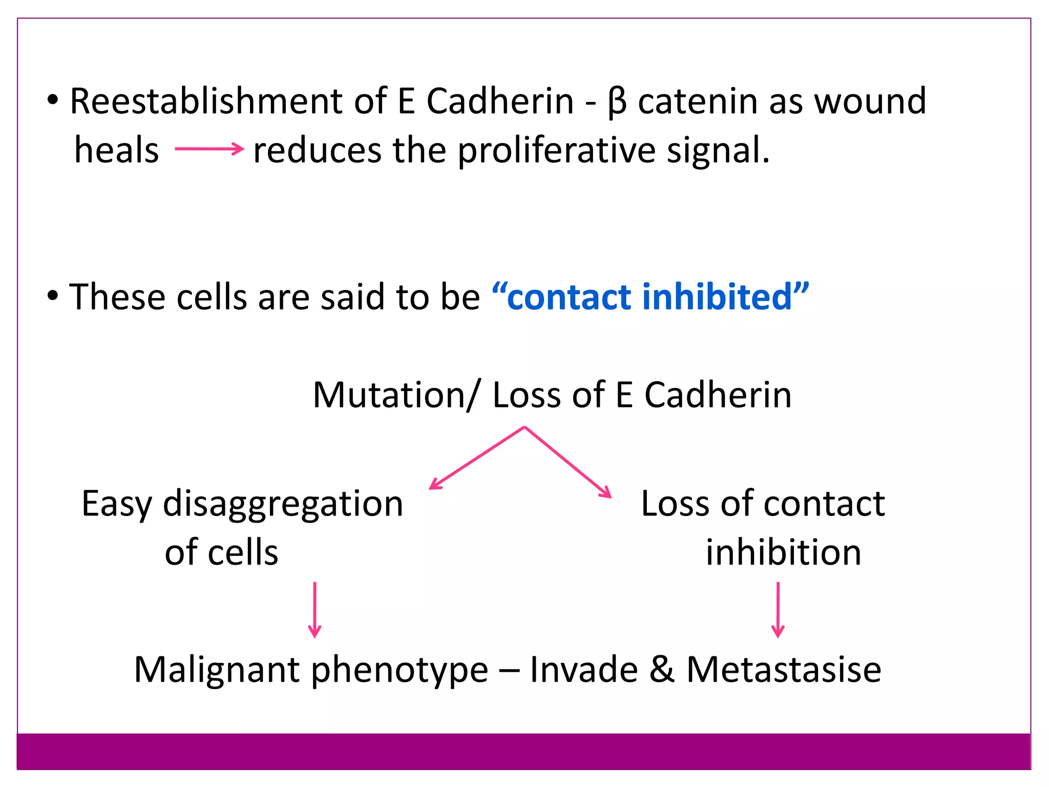Metastatic cascade and Epithelial Mesenchymal Transition | PPTX
