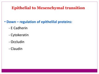 Epithelial Mesenchymal Transition Ppt
