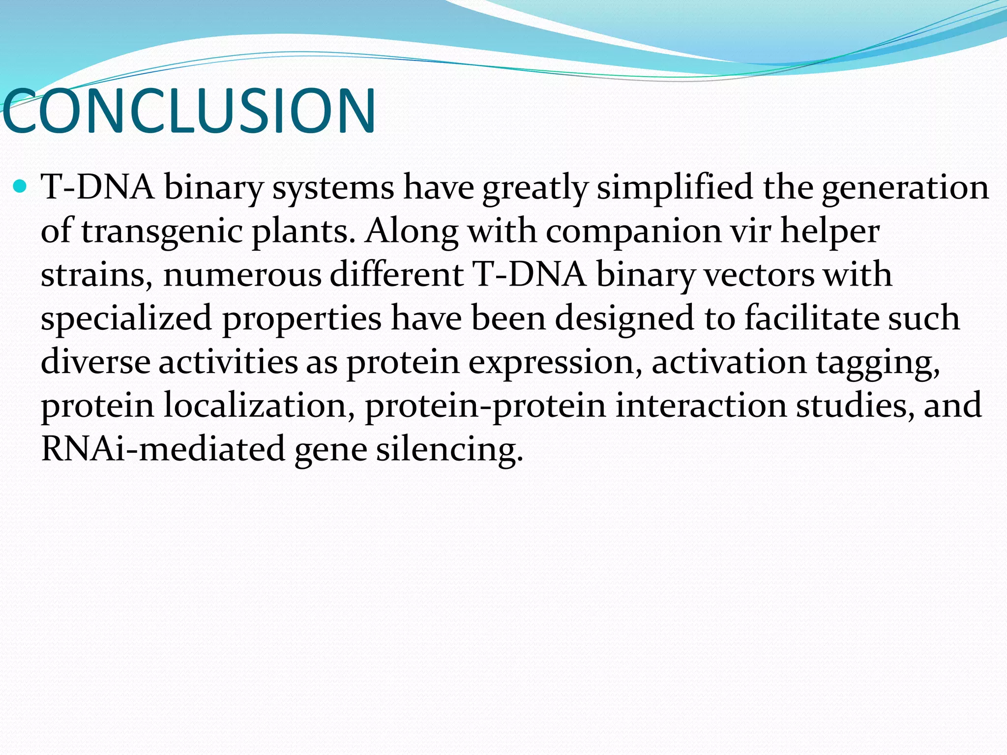 Binary Vector By Kk Sahu Sir Pptx Programming Languages Computing