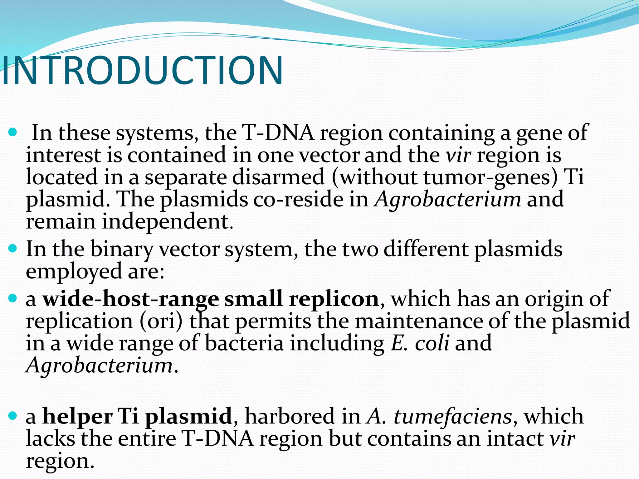 Binary Vector, By KK Sahu sir | PPTX
