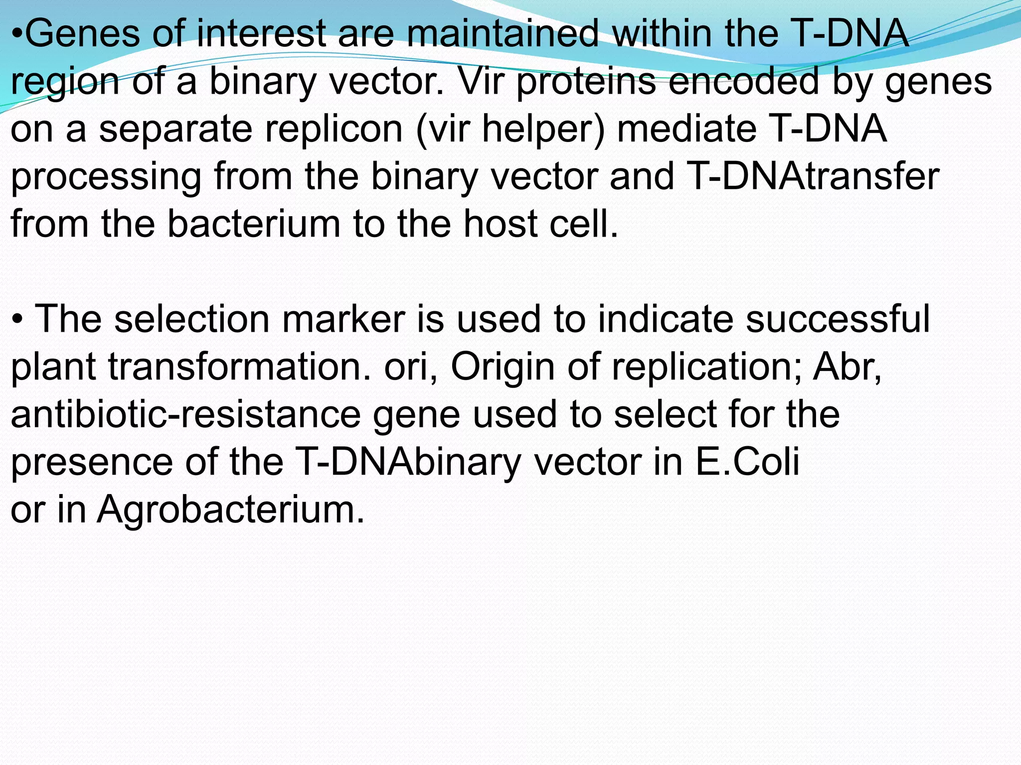 Binary Vector, By KK Sahu sir | PPTX