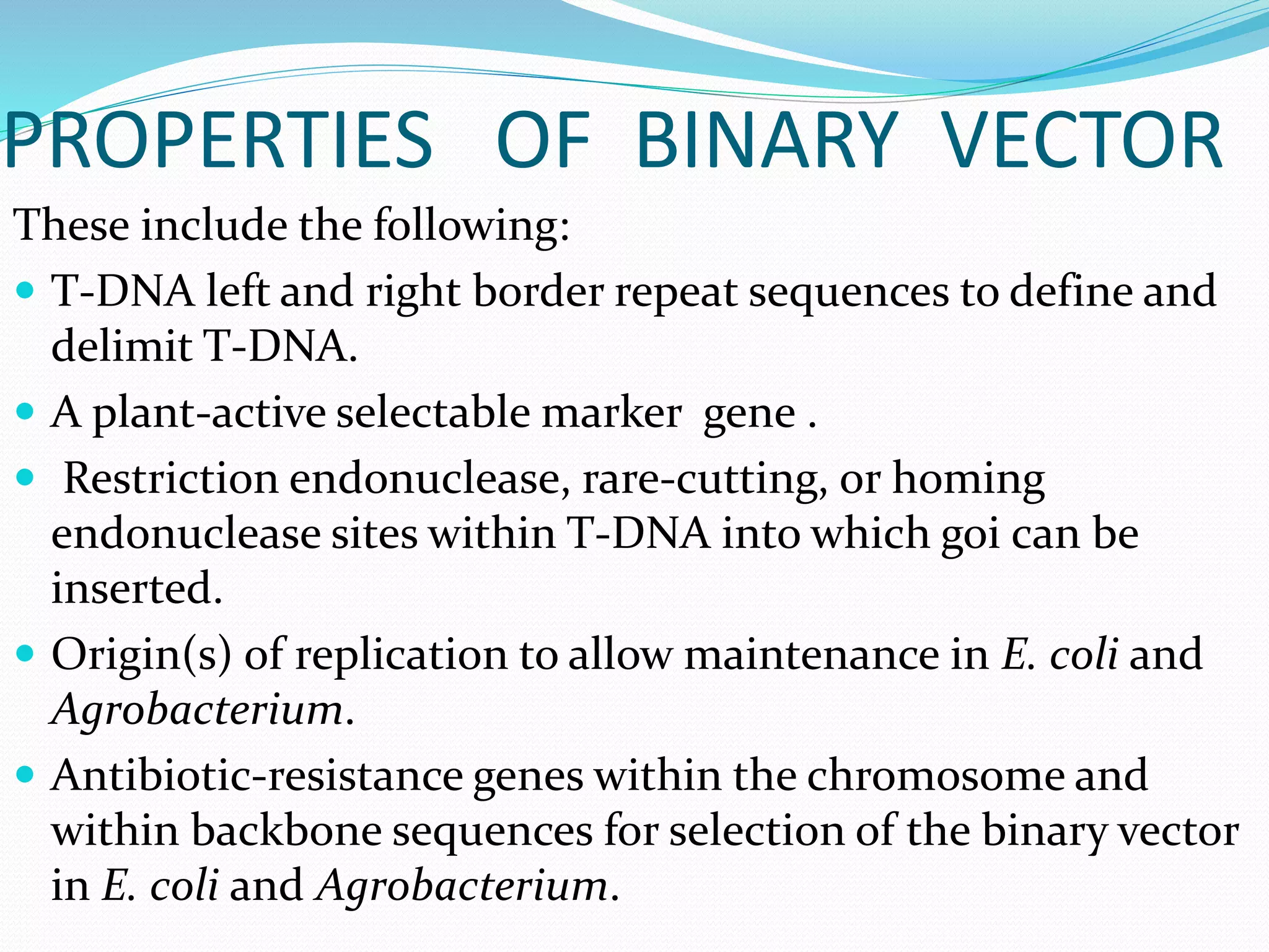 Binary Vector, By KK Sahu sir | PPTX