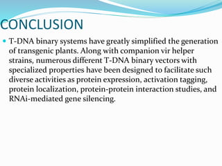 Binary Vector, By KK Sahu sir | PPTX