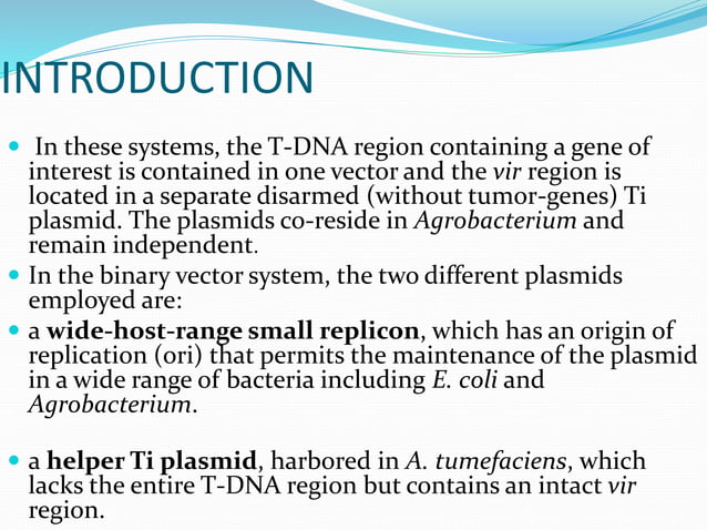 Binary Vector By Kk Sahu Sir Pptx Programming Languages Computing
