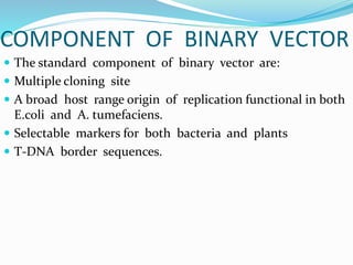 Binary Vector, By KK Sahu sir | PPTX