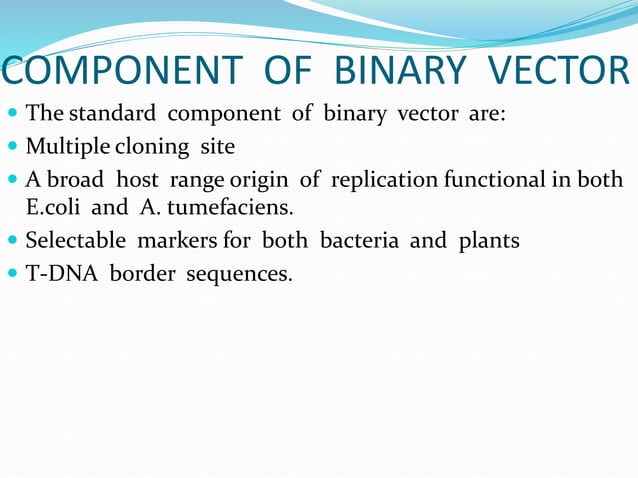 Binary Vector By Kk Sahu Sir Pptx Programming Languages Computing