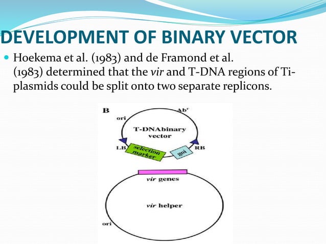 Binary Vector By Kk Sahu Sir Pptx Programming Languages Computing
