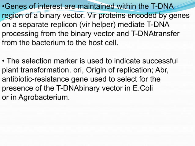 Binary Vector By Kk Sahu Sir Pptx Programming Languages Computing