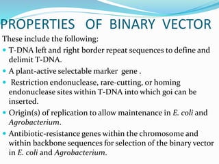 Binary Vector, By KK Sahu sir | PPTX